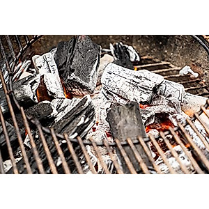 Thaan Charcoal, Premium Select Very Large Lump Natural Hardwood Charcoal