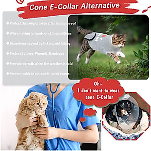 DENTRUN Cat Surgery Anti-Licking Spay Recovery Suit, Cat Small Dog Cone E-Collar Alternative Recovery Shirt After Surgery for Male Female Abdominal Wounds Bandages, Pet Surgical Recovery Snuggly Suit
