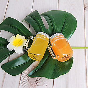 DESIYUE 1.5oz-30 Pack Mini Glass Mason Jars Set with Silver Lids & Handles, Small Favor Jars, Food Storage Containers for Weddings, Decoration, Parties, DIY, Spices, Holiday Crafts