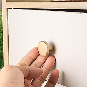 8 Pcs Gold Cabinet Knobs, Brushed Brass Round Kitchen Cabinet Hardware Pulls Knobs Gold for Dresser Drawer Cupboard Closet Furniture Wardrobe Door Knobs Handles, with Screwdriver - 20x25 mm