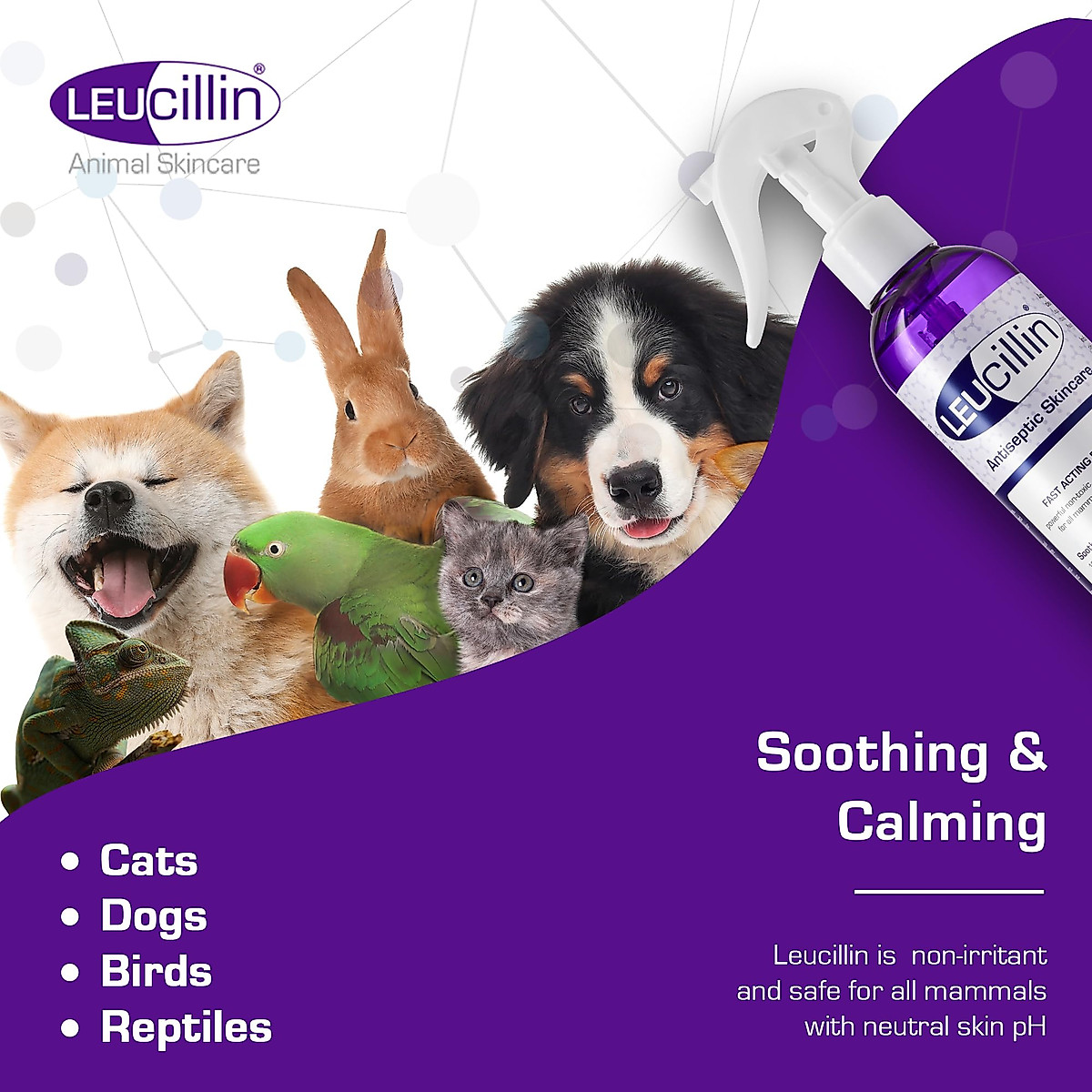 Leucillin Natural Antiseptic Spray for Dogs, Soothes Itchy Skin and Promotes Healing, Effective Treatment for Dogs, Wound and Skin Care Solution for Pets, First Aid Kit Essential - 150ml