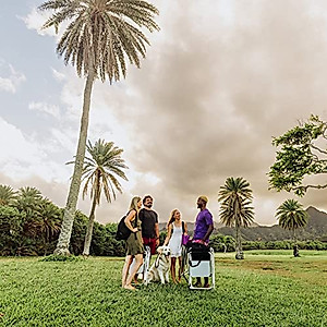 ONIVA - a Picnic Time brand - Sports Chair with Side Table, Beach Chair, Camp Chair for Adults, (Black)