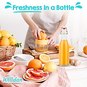 WILLDAN Giara Glass Bottle with Stopper Caps, Set of 4-33.75 Oz Carafe Swing Top Glass Bottles for Beverages, Oils, Kombucha, Kefir, Vinegar, Leak Proof Caps & Airtight Lids