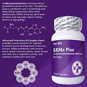 Pet MD Same Plus Liver Support for Dogs - Canine Hepatic Support & Brain Health Supplement - B Vitamins & Same for Dogs - Enteric Coated Tablets - 425mg - 30 ct