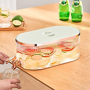 SIXAQUAE iced beverage dispenser,iced Juice Lemonade Dispenser For Party Daily Use, Milk Dispenser For Fridge GREEN.