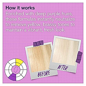 Purple Shampoo, Conditioner & Mask Trio Gift Set. Removes Brassy Yellow Tones. Lightens Blonde, Platinum, Ash, Silver & Grays. Paraben & Sulfate Free. PETA Approved Cruelty-free and 100% Vegan.