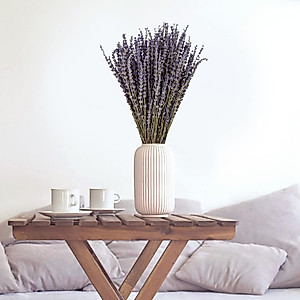 June Fox Dried Lavender Flowers 270-300 Stems 100% Natural Dried Lavender Bunches for Home Decoration, Home Fragrance, Handmade Soap Flower