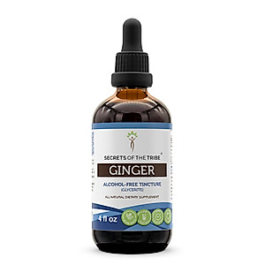 Secrets of the Tribe Ginger Tincture Alcohol-Free Extract, Ginger (Zingiber officinale) Dried Root 4 OZ