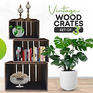 FANDOS Large Wooden Crates For Display -16x12x6in- Wall Mount Stackable Rustic Wooden Crate Boxes, Farmhouse Wooden Crates for Storage, Decorative Wooden Milk Crates for Decor /Artificial Crafts