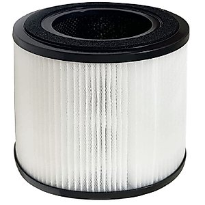 Fette Filter - Filter Compatible with BISSELL MYair Pro Hub and Plus Air Purifier Replacement HEPA and Carbon Filter Part # 3069 and 3389 - Pack of 1