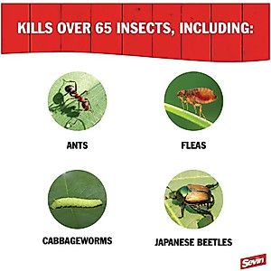 Gulfstream Garden Tech Dust Bug Killer Multiple Insects Carbaryl 1 Lb. 4 / Pack