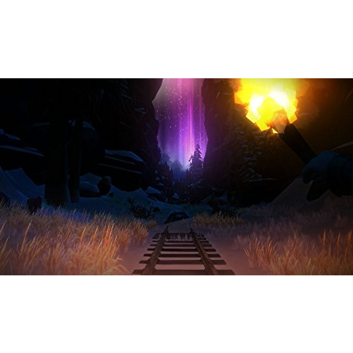 The Long Dark - PlayStation 4