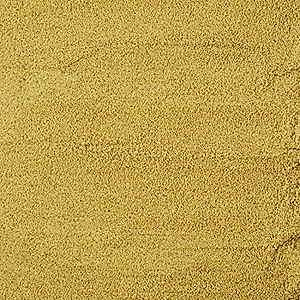 Kaytee Exact Hand Feeding Pet Bird Baby Food For Macaw, Eclectus, Hawk-Headed, African Parrots, Caiques, and Any Baby Under 2 Weeks Old, 5 Pound