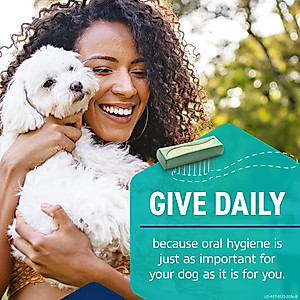 ORAVET Dental Chews for Dogs, Oral Care and Hygiene Chews (Large Dogs, Over 50 lbs.) Pink Pouch, 14 Count