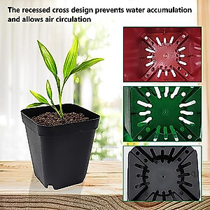 RooTrimmer 120-Pack 2.7"x2.7" Square Plastic Nursery Pot 3" Deep Succulent Pots Small Flower Planter Seeds Starter Pots with Drainage (Green,Black,Red 40pcs Each)