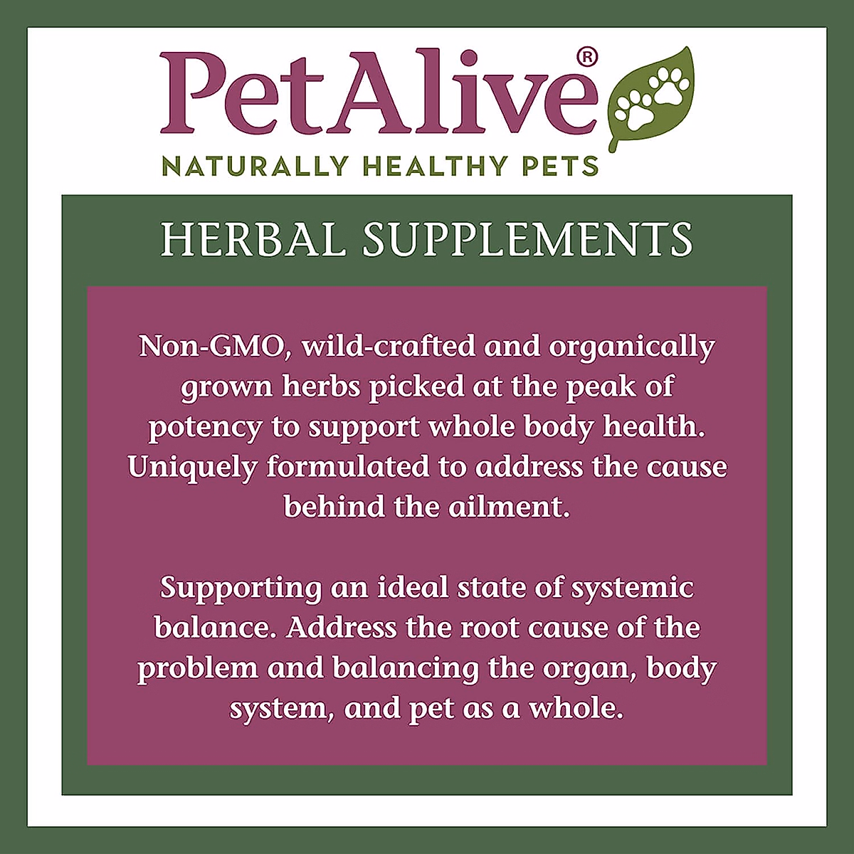 Native Remedies PetAlive Urinary ComboPack for Pets