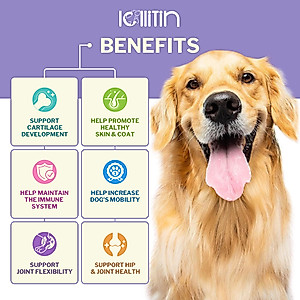 Dog Hip and Joint Supplement - Made in USA Dog Joint Supplement for Mobility Issues - Relief with Glucosamine for Dogs, MSM - 120 Count, Bacon Flavor - All Natural Dog Joint and Hip Supplement