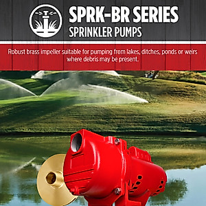 Red Lion RL-SPRK-200-BR, 230 Volt, 2HP, 77 GPH, Sprinkler/Irrigation Pump with Brass Impeller, Red, 97102002