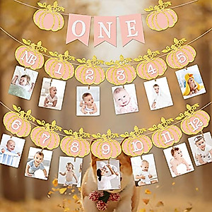 Pumpkin First Birthday Girl 12 Month Photo Banner for First Birthday Our Little Pumpkin is Turning One Decorations Pumpkin Birthday Decorations Girl