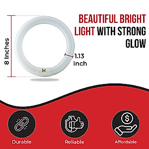BULBMASTER FC8T9/CW 22 Watt 8 Inch Round T9 Fluorescent Circular Light Bulb, Cool White 4100K, 1120 Lumens G10Q 4-Pin Base 22W Circline Ceiling Lights