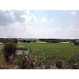 Hancock Seed Co. Royal Bengal Bermuda Grass Seeds, 2 lbs.