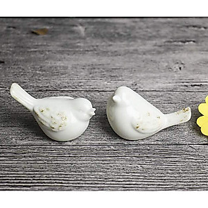 SENTOP, 2pcs Ceramic Bird Figurines,Modern Minimalist Animal Ornament Home Decor Mini Bird Figurine Gift for Garden Desktop Display Decor