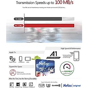 Netac 256GB Micro SD Card Up to 100MB/s TF Card UHS-1 MicroSDXC Memory Card A1, U1, C10, V30 High-Speed Expanded Storage Card for Smartphone/Camera/Bluetooth Speaker/Gaming/Movie