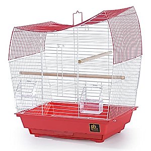 Prevue Pet Products South Beach Wave Top Bird Cage, Coral (Model: SP50110)