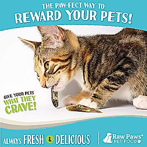 Raw Paws Pet Freeze Dried Minnows for Dogs & Cats, 2-oz - USA Fish Dog Treats - All Natural, Single Ingredient Minnow Cat Treats - Raw Freeze Dried Dog Snacks - Grain Free Cat Reward