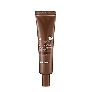 MIZON All in One Snail Repair Cream Snail Mucin with 12 Natural Extracts Korean Recovery Cream for Fine Line & Blemish Care (4.06 fl oz)