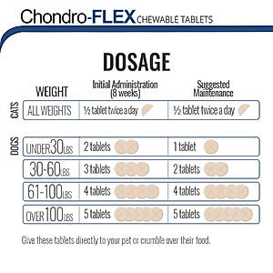 HealthyPets Chondro-Flex - Powerful Joint Care Formula Dogs and Cats - Maximum Nutritional Support - Glucosamine, Chondroitin, MSM, Ester-C, and Minerals - 180 Chewable Tablets
