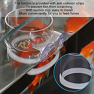 Fish Tank Suction Cup Feeder Acrylic Transparent Fish Ring Food Feeder Clear Fish Feeding Ring with Anti-Collision Strip for Aquarium Fish Tank