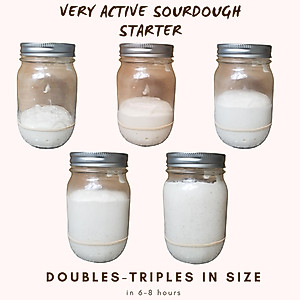 Sourdough Starter - Dehydrated Heirloom Style Sourdough Starter for Sourdough Bread, Pizza, Buns, Pancakes, Muffins | Easy to follow instructions. By Captain Sourpants