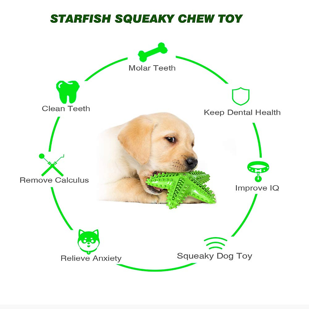 IDOLPET Dog Chew Toys Squeaky Dog Toys Dog Water Floating Toys Starfish Natural Tooth Brush Teeth Cleaning Toy for Small Medium Dog (Green)