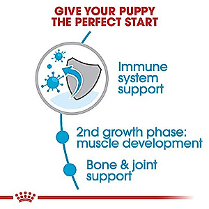 Royal Canin Giant Junior Dry Puppy Food, 30 lb bag