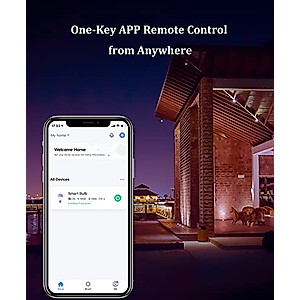 Luntak Smart Small Light Bulbs That Work with Alexa Google Home Echo&SiriShortcut ,Color Changing Light Bulb WiFi-Bluetooth Chandelier Led Light Candelabra E12 Led Bulbs B11/B10 35w Equivalent 3Pack