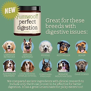 Perfect Digestion by Yumwoof - Non-GMO, Human-Grade Dog Food Topper