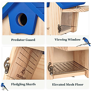 Kingsyard Wooden Bluebird House, Bird House with Predator Guard, Nesting Box Birdhouse for Outside Wild Bird Watching, Royal Blue
