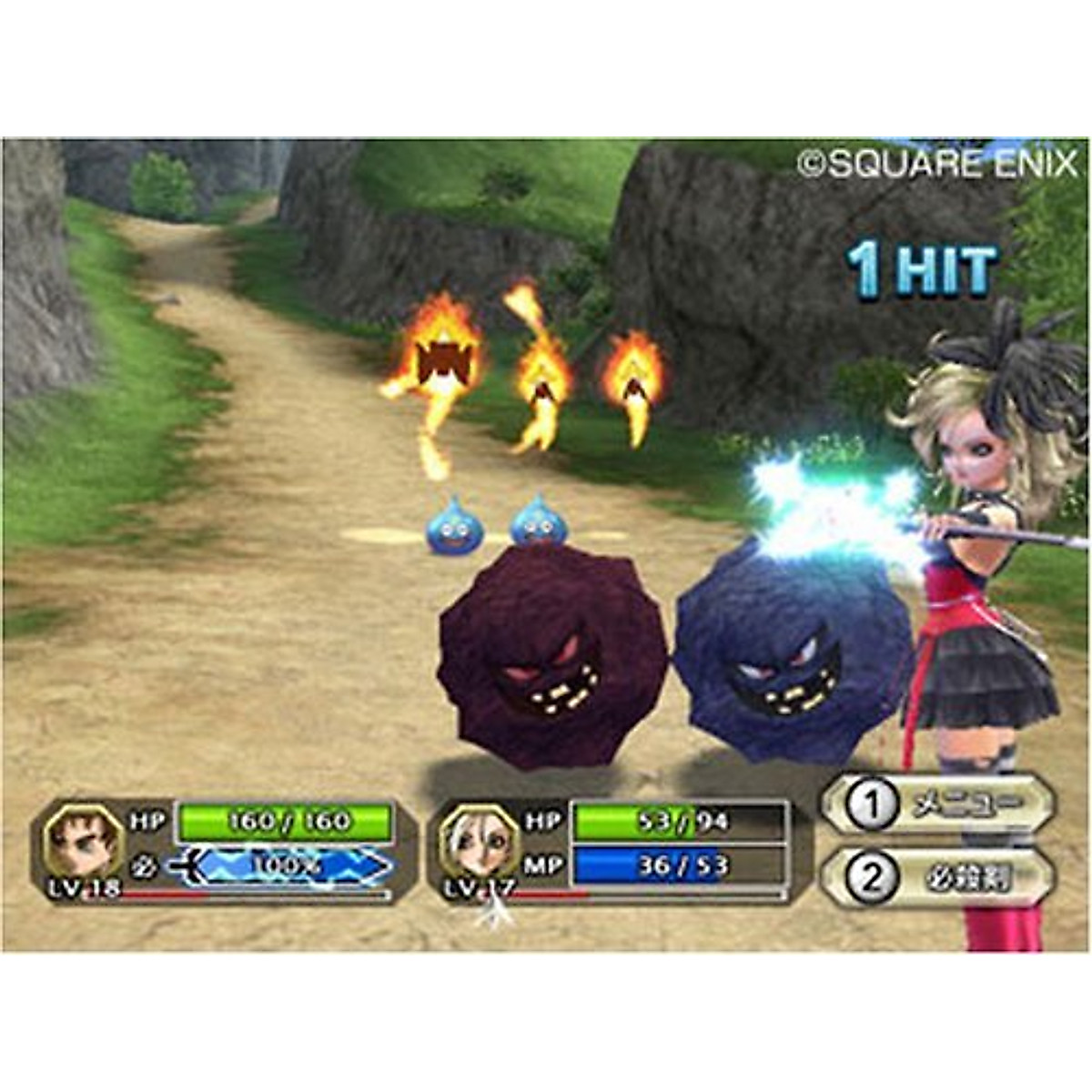 Dragon Quest Swords: The Masked Queen and Tower of Mirrors - Nintendo Wii (Renewed)