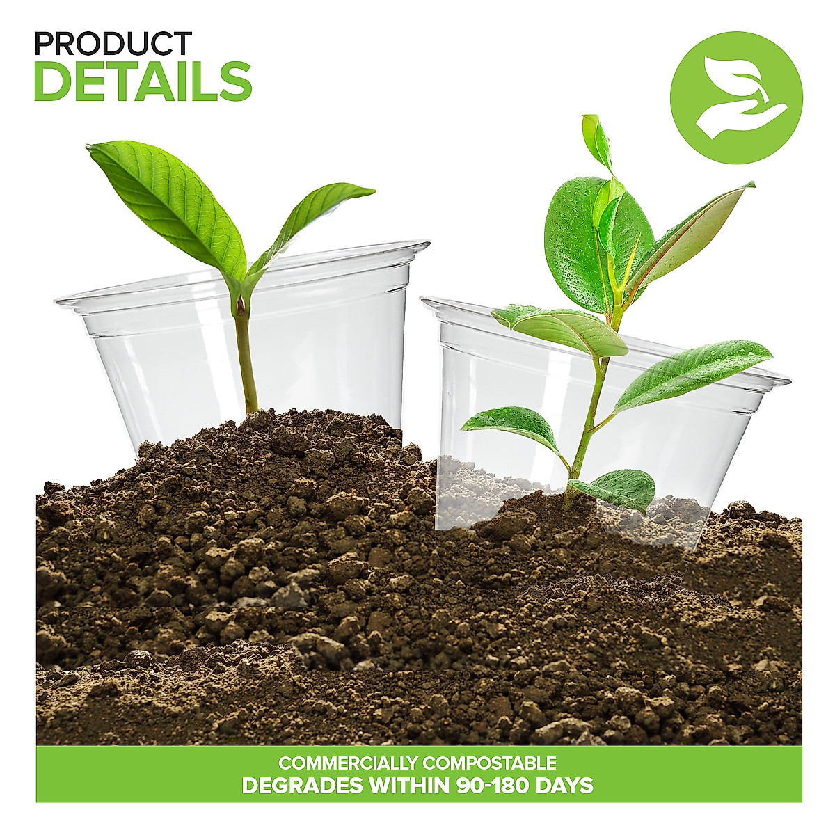 Stock Your Home 9 oz Clear Commercially Compostable Cold Cups Plant Based Eco Party Cup, Environmentally Friendly Recyclable Disposable Sustainable for Water, Wine & Beer Sample (50 Pack)