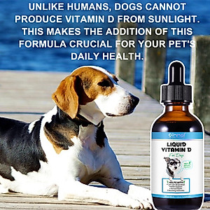 Vitamin D for Dogs, Liquid D for Dogs, Dog Vitamins D Drops Promote Calcium Absorption, Supports Hip & Joint Health and Dog Dental Health - Pet Supplements Liquid Vitamins D, Bacon Flavour - 2 Fl Oz