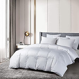Beautyrest Premium European White Goose Down Comforter King Size- All Seasons Warmth 400 Thread Count Sateen Cotton Fabric-650 Fill Power White Down Duvet Insert- Made in USA