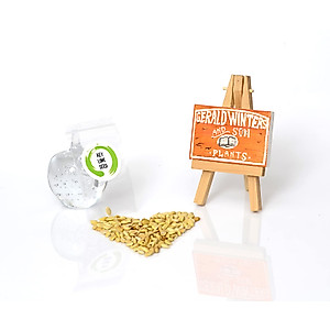 Gerald Winters and Son Key Lime Tree Starter Plant . Citrus aurantifolia. 3” - 5”