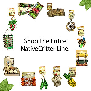 Exotic Nutrition Chew Toy Bundle - Natural Interactive Chew Toys - Chinchillas, Guinea Pigs, Hamsters, Rabbits, Degus, Prairie Dogs, Small Pets