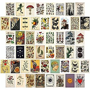 LCLAIDYDY 50PCS Vintage Collection Postcard Set, Retro Style Plants Butterfly Mushroom Nature Postcards Pack for Room Decor, Botanical Ephemera Aesthetic Postcards,Wall Collage Kit Aesthetic Pictures