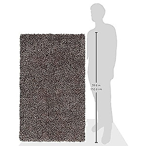 SAFAVIEH California Shag Collection Accent Rug - 2'3" x 5', Mushroom, Non-Shedding & Easy Care, 2-inch Thick Ideal for High Traffic Areas in Entryway, Living Room, Bedroom (SG151-8181)