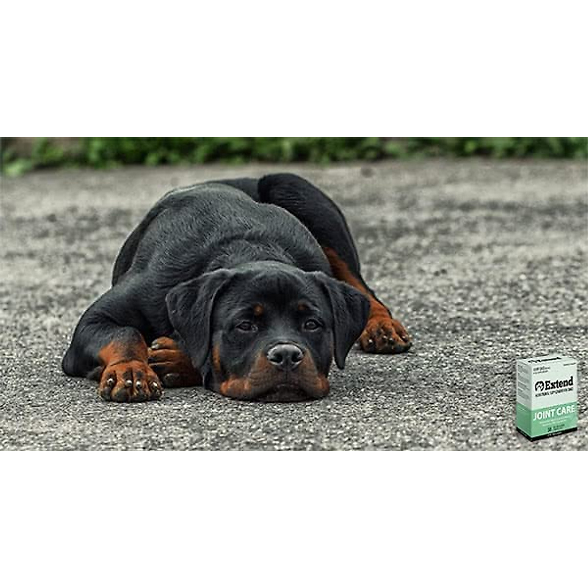 Extend - Joint Care for Dogs - 1 Month Supply - Glucosamine for Dogs with MSM & Ascorbic Acid - Pure Grade Ingredients.