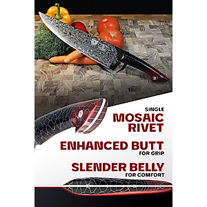 Dalstrong Chef Knife - 9.5 inch - Scorpion Series - Exclusive Japanese V12 Ultra Steel - Black Damascus - Black & Red Honeycomb Resin Handle - Rock-chops, Slicing, Skinning Gift Knife-Leather Sheath