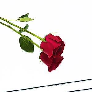 Ruomeng Full Length Wall Mirror Tiles - 10" x 10" x 4Pcs Frameless Full Body Mirror Tiles Wall Mounted Mirror for Home Gym Vanity Bedroom, Living Room