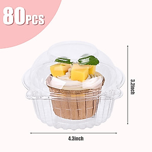 JOHOUSE 25PCS Single Cupcake Containers, Clear Cupcake Holders Individual Cupcake Containers with Dome Lids for Muffin Dessert